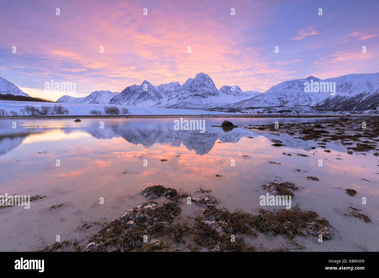 Balsfjorden hi-res stock photography and images - Alamy