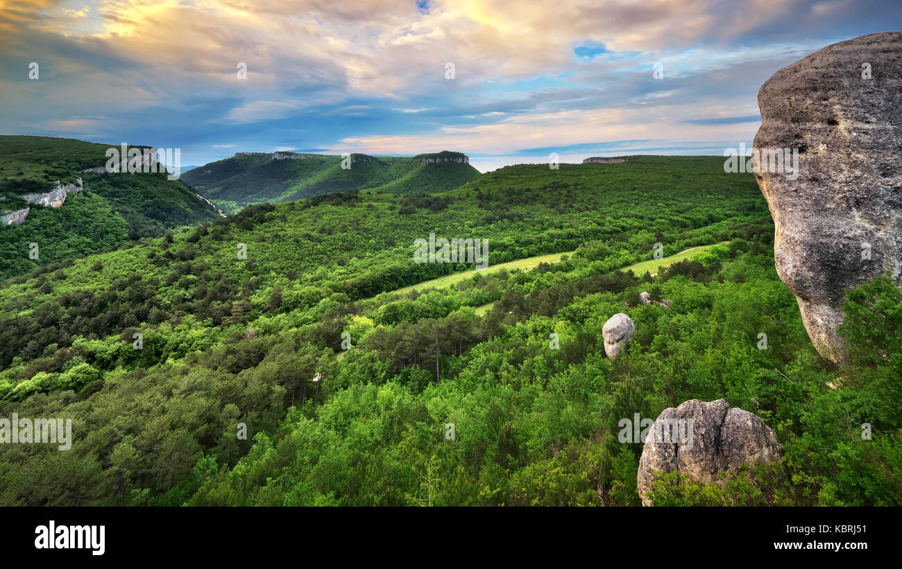 Composition with nature hi-res stock photography and images - Alamy