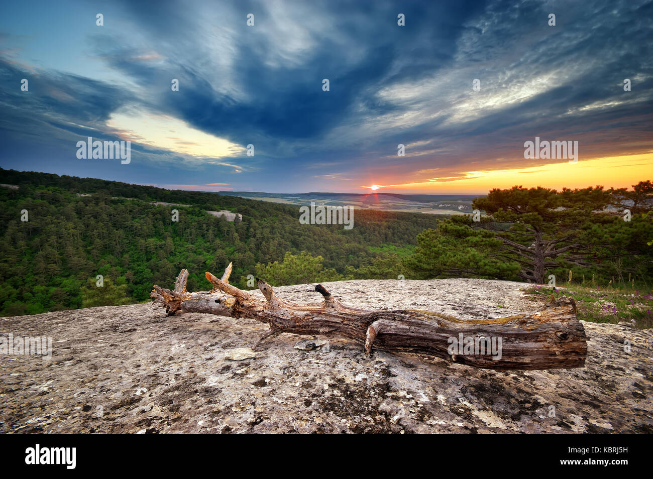 Composition of nature hi-res stock photography and images - Alamy