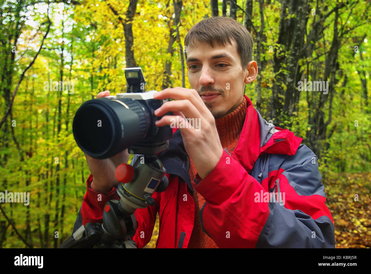 autumn forest photographer Stock Photo - Alamy