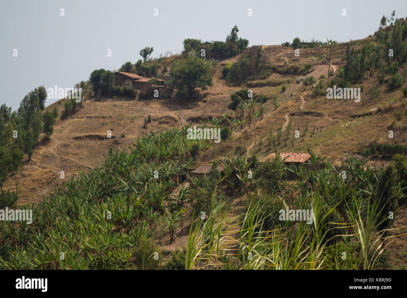 Rural Village on a Hill, Rwanda Stock Photo - Alamy