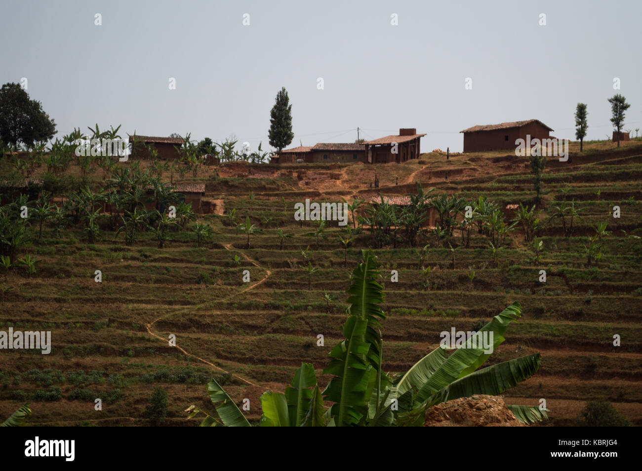 Rural Village on a Hill, Rwanda Stock Photo - Alamy
