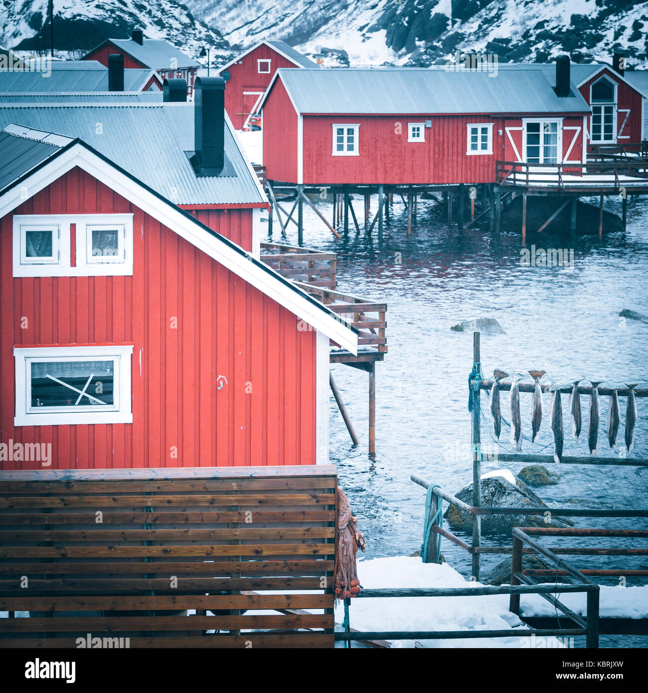 Nusfjord, red rorbuer and stockfish, Lofoten, Norway Stock Photo - Alamy