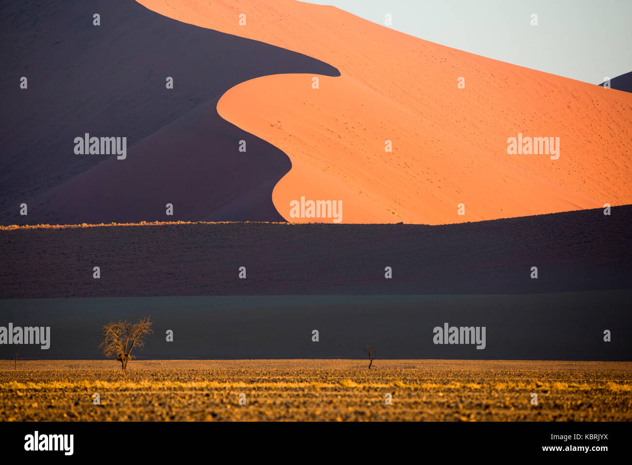 Namib desert, sand dunes. Namibia, Africa Stock Photo - Alamy