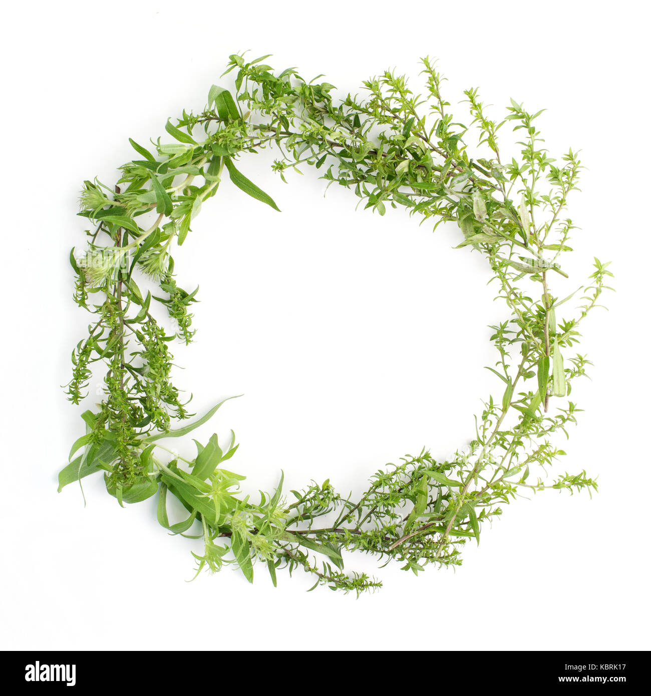 Green round border Cut Out Stock Images & Pictures - Alamy