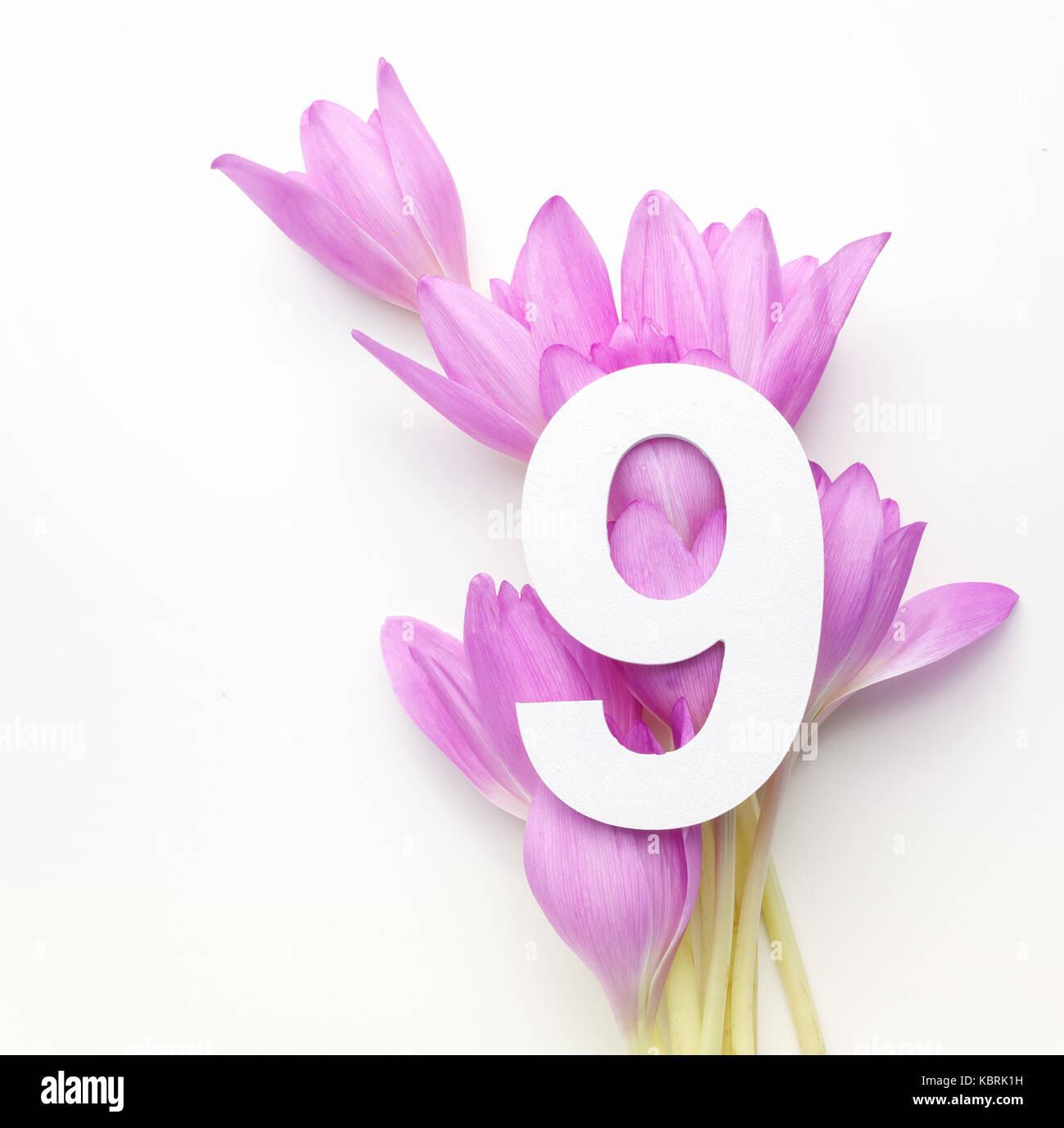 Layout with colorful flowers, leaves and number nine. Flat lay. Top ...