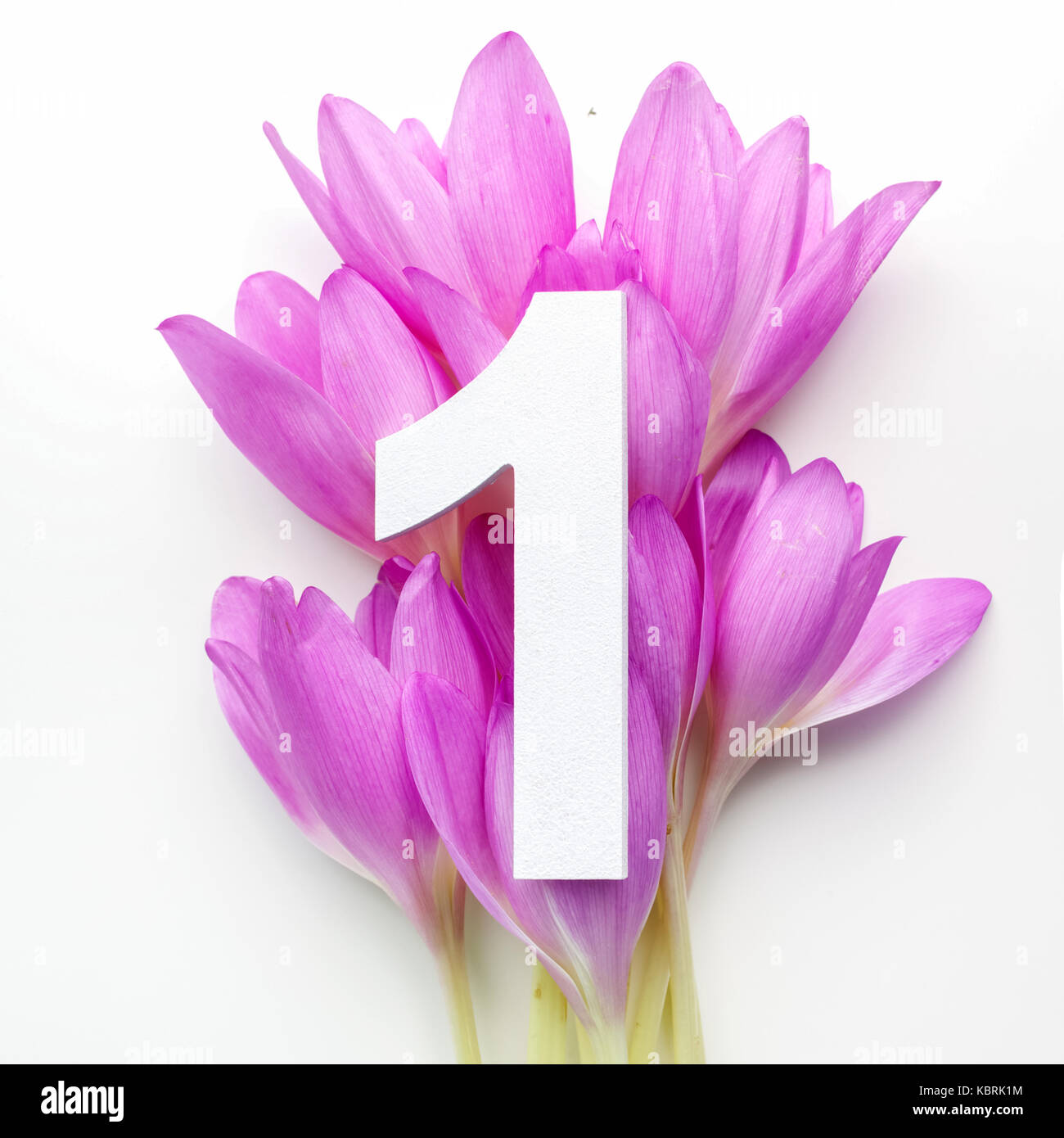 Layout with colorful flowers, leaves and number one. Flat lay. Top view ...