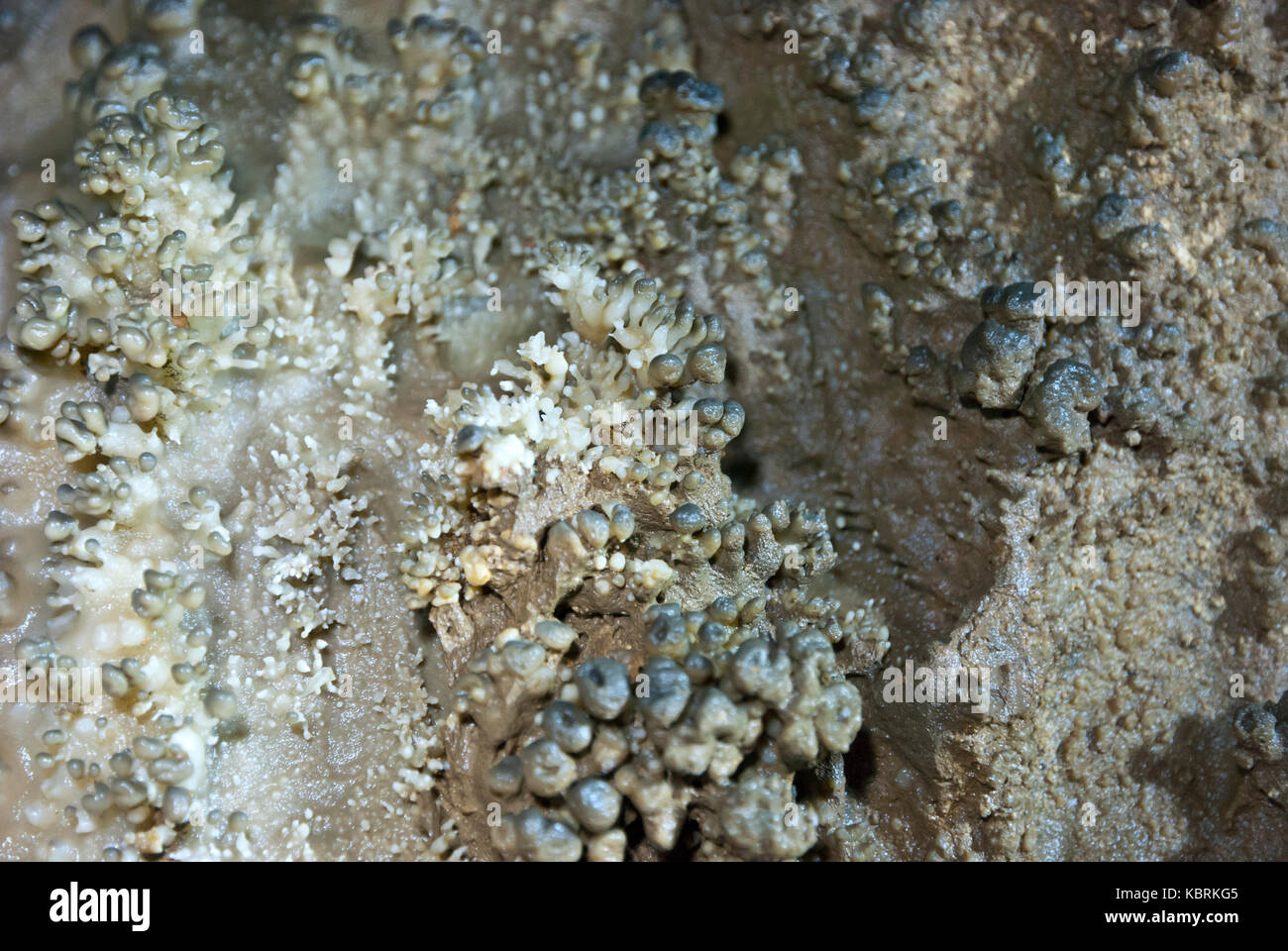 Stalactite structure hi-res stock photography and images - Alamy