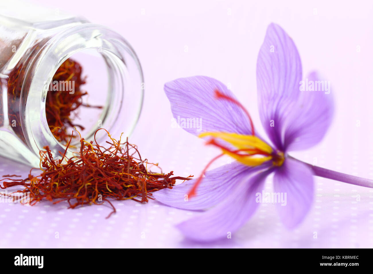 Close up of saffron flower and dried saffron spice Stock Photo - Alamy