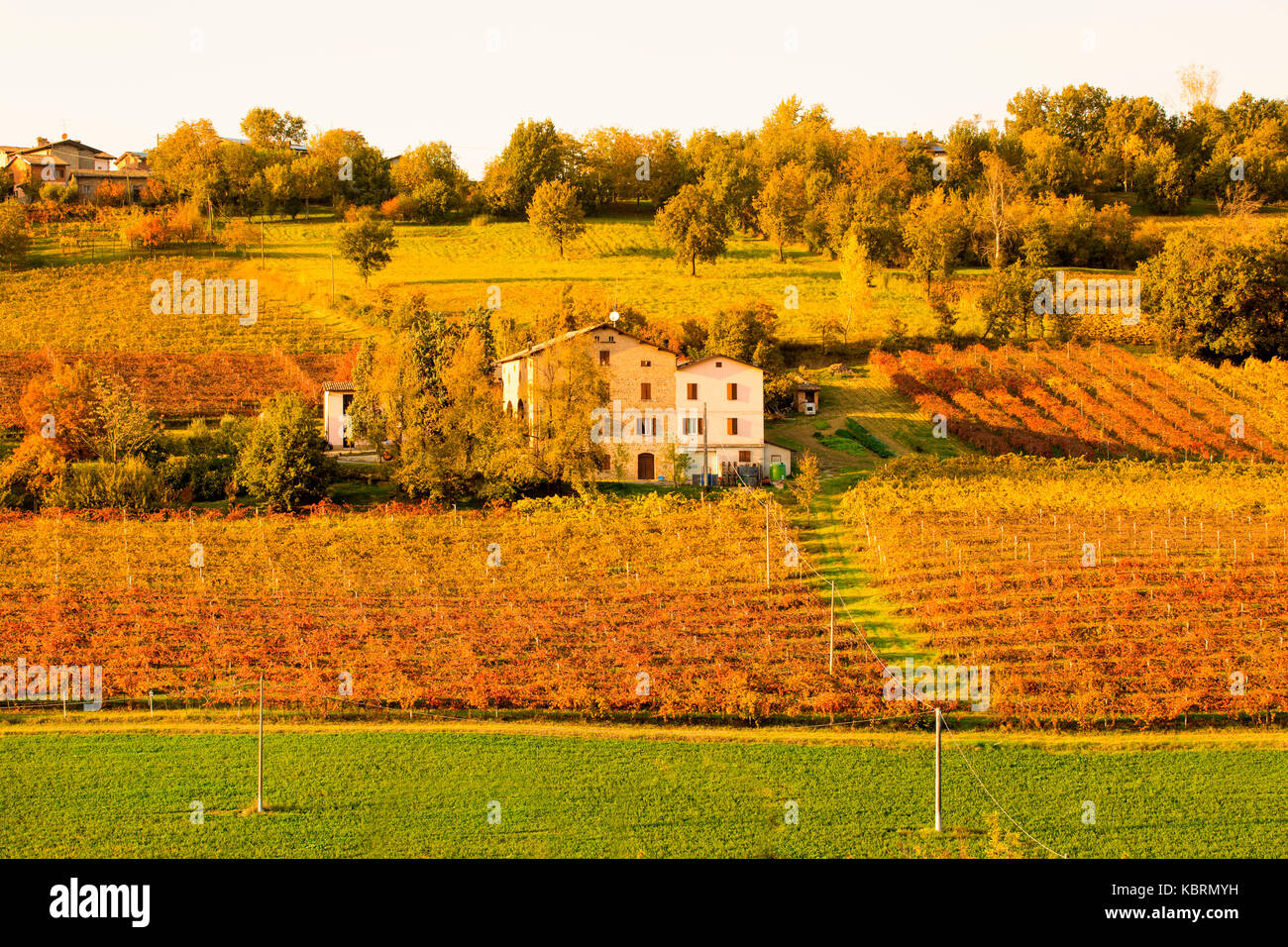 Castelvetro di modena hi-res stock photography and images - Alamy