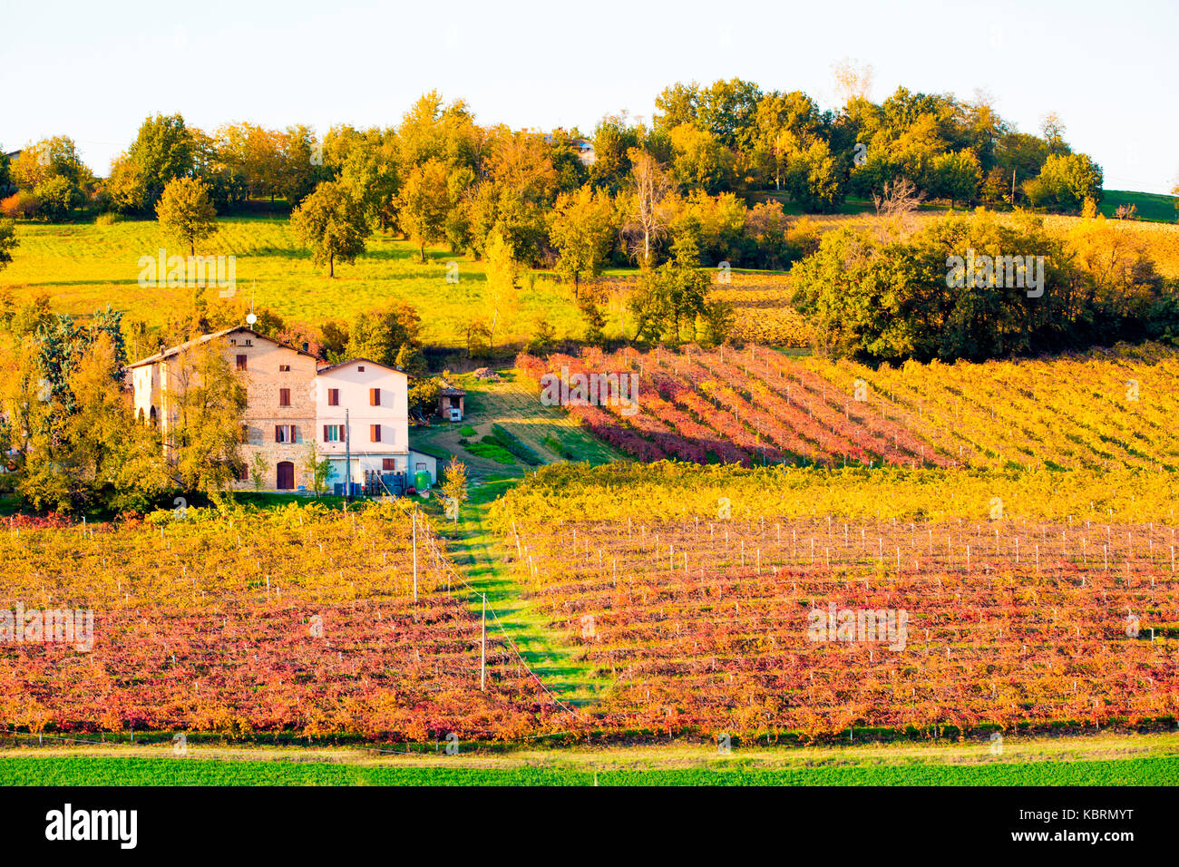 Castelvetro di modena hi-res stock photography and images - Alamy