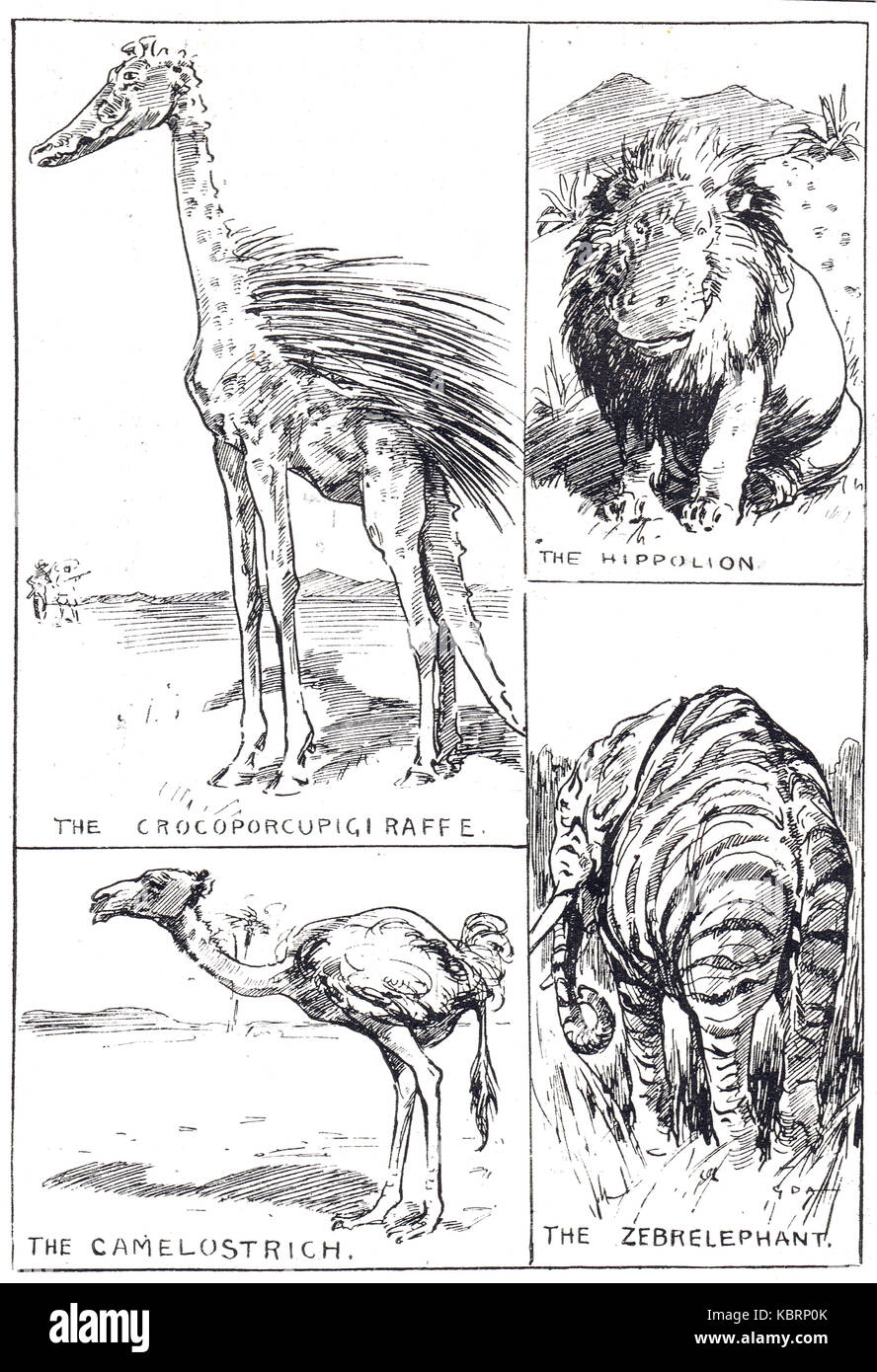 Fantasy creatures, Hippolion, Camelostrich, Zebrelephant ...