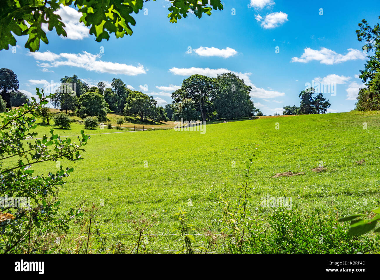 English country landscape in summer Stock Photo - Alamy