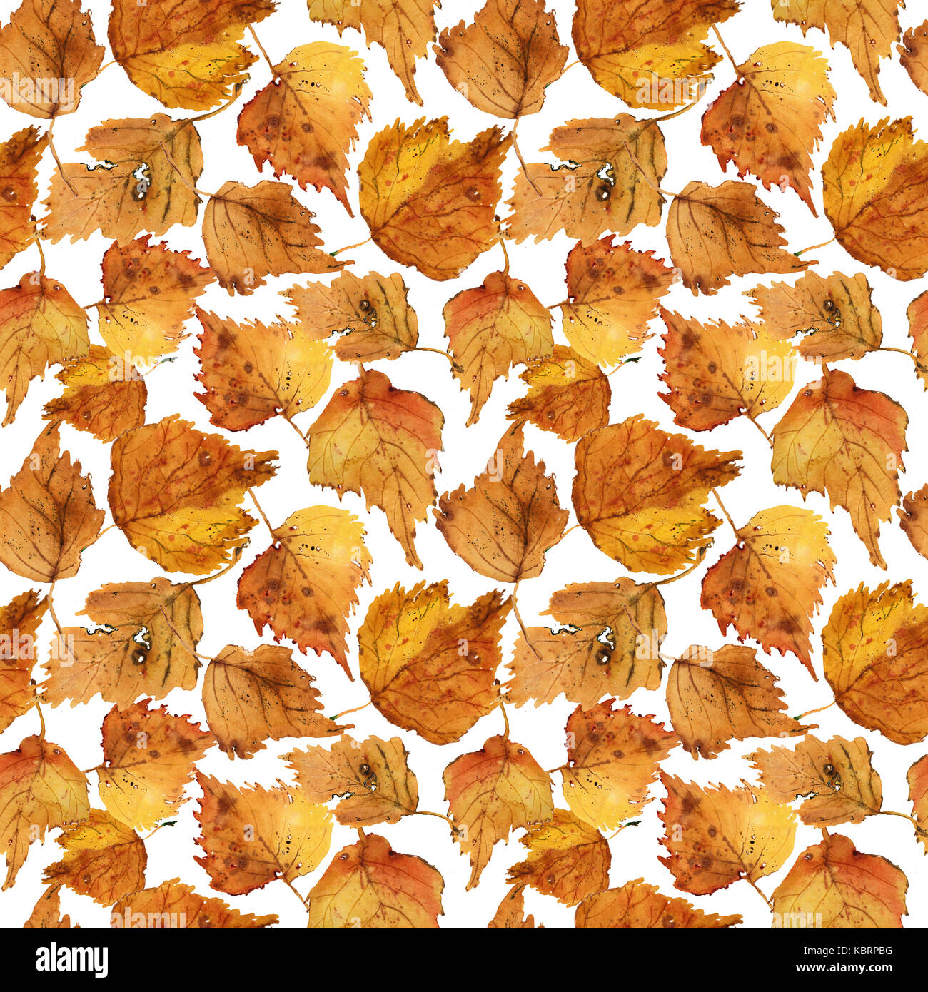 Birch watercolor abstract pattern hi-res stock photography and images ...