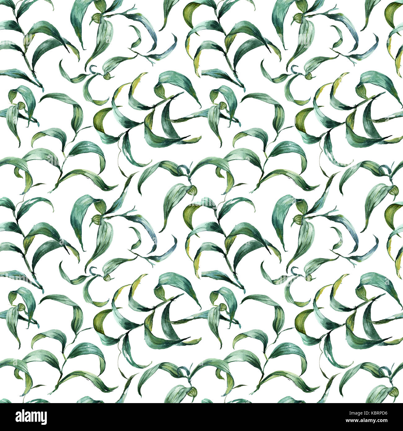 Seamless repeating fern pattern background hi-res stock photography and ...