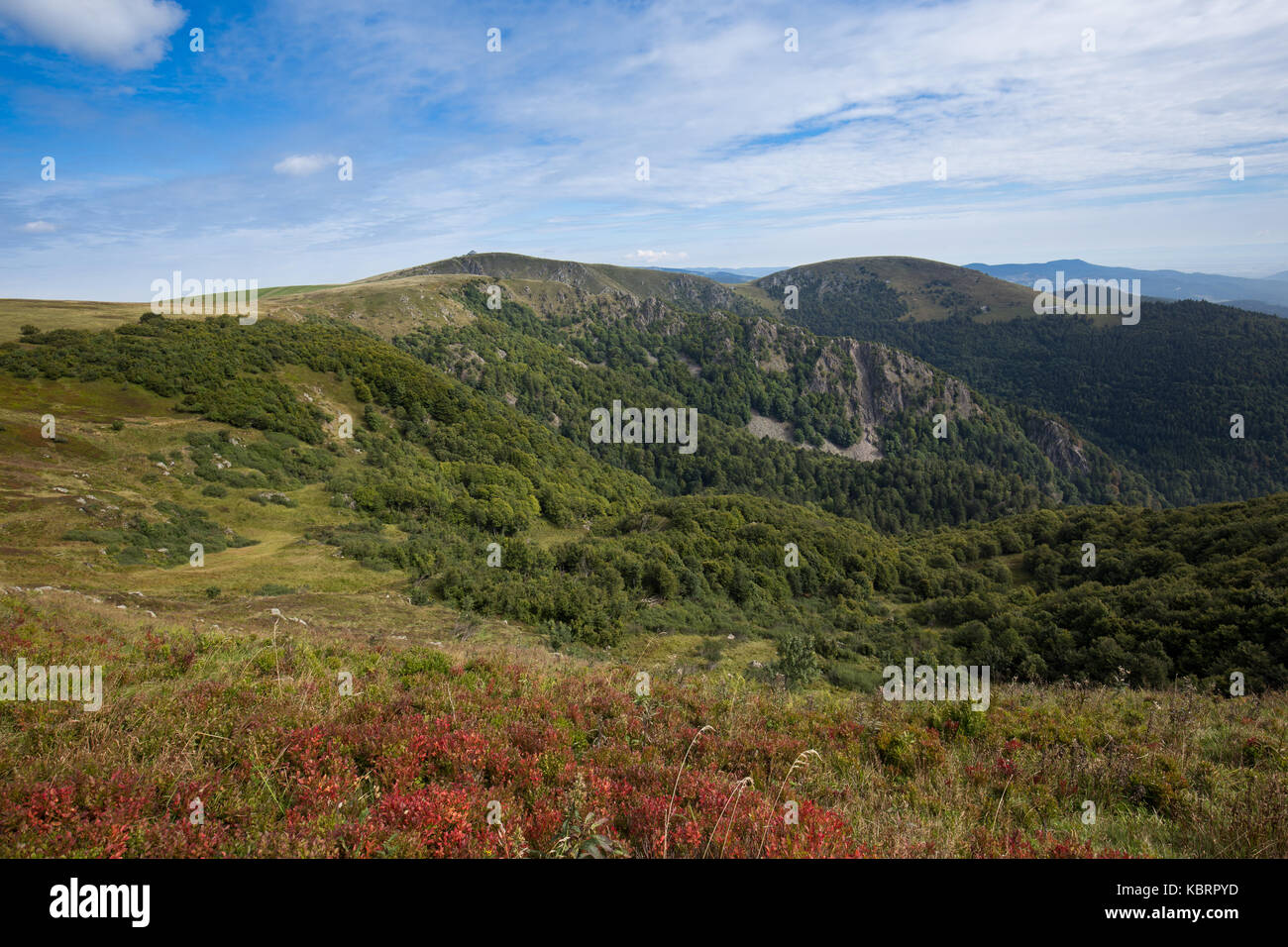 Hohneck summit in the Vosges mountains, France Stock Photo - Alamy