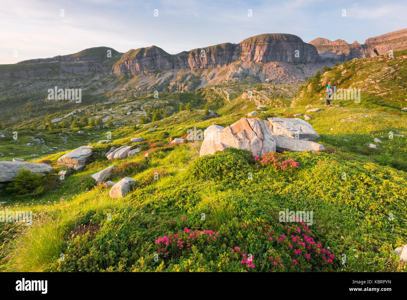 Nana Valley and its flowered garden Europe, Italy, Trentino Alto Adige ...