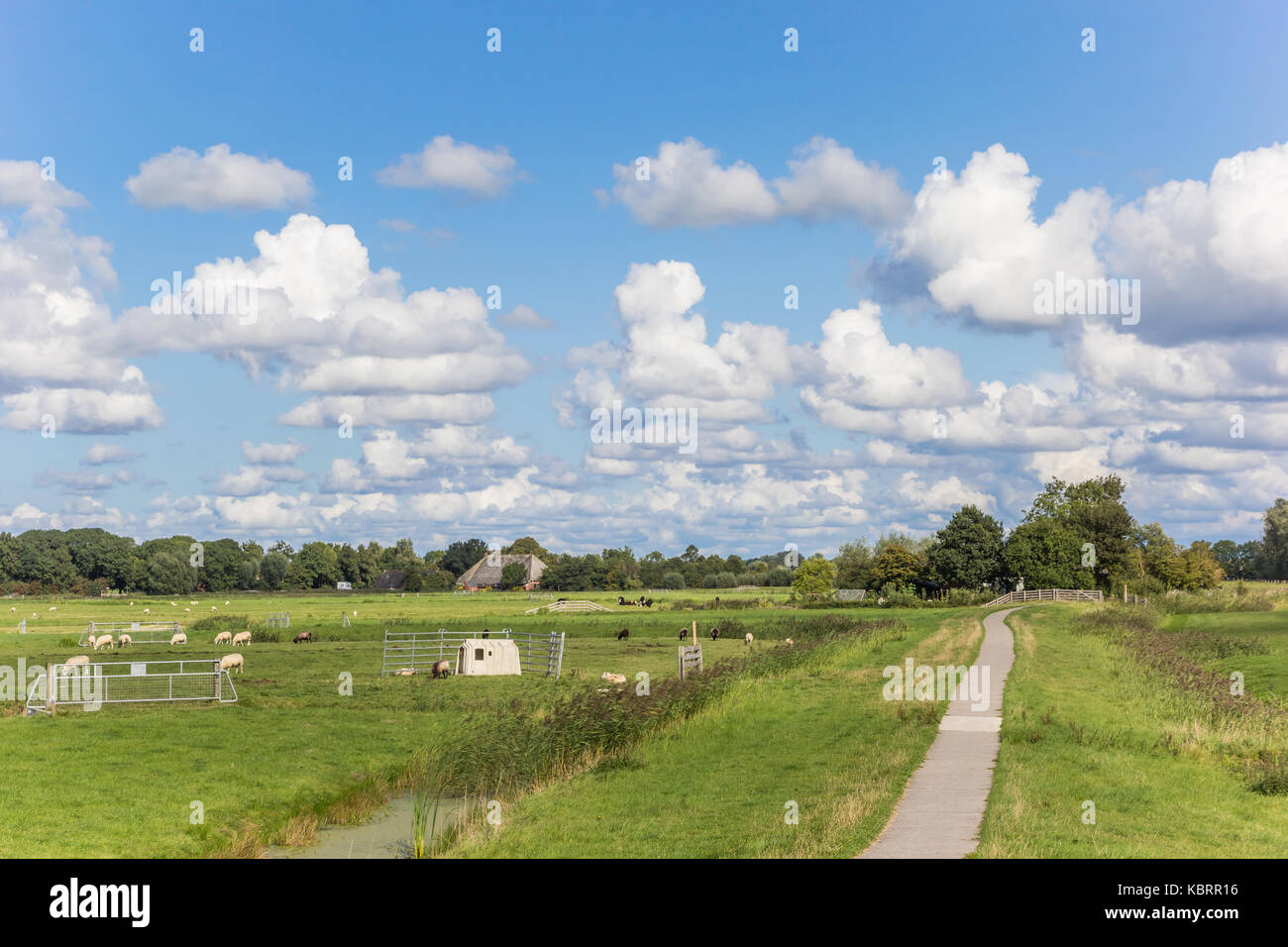 Bicycle path in the rural north of Groningen, Netherlands Stock Photo ...