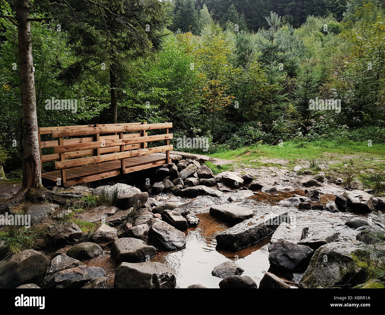Small wooden bridge in the forest Stock Photo - Alamy