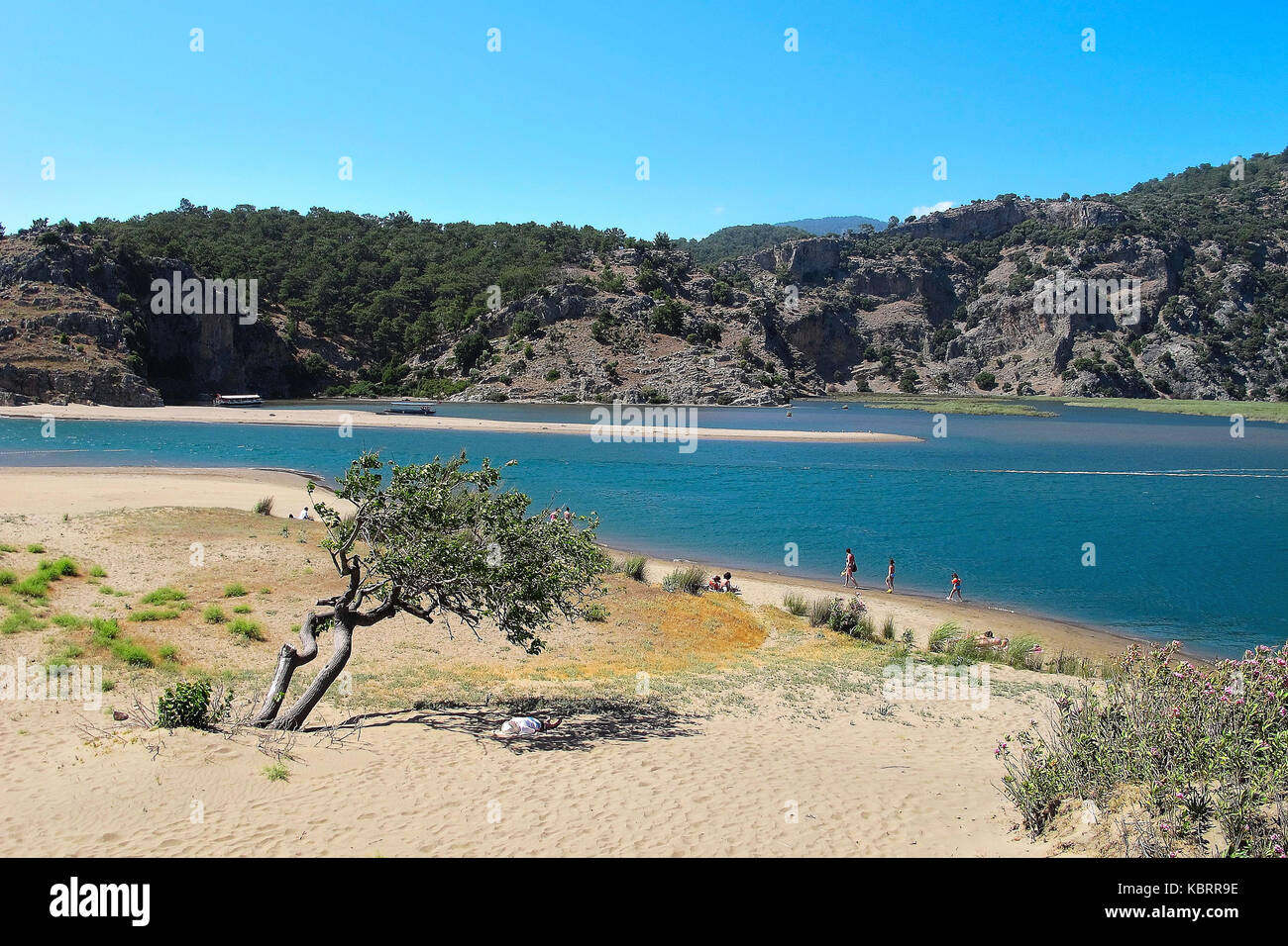Turtle Beach Dalyan Turkey