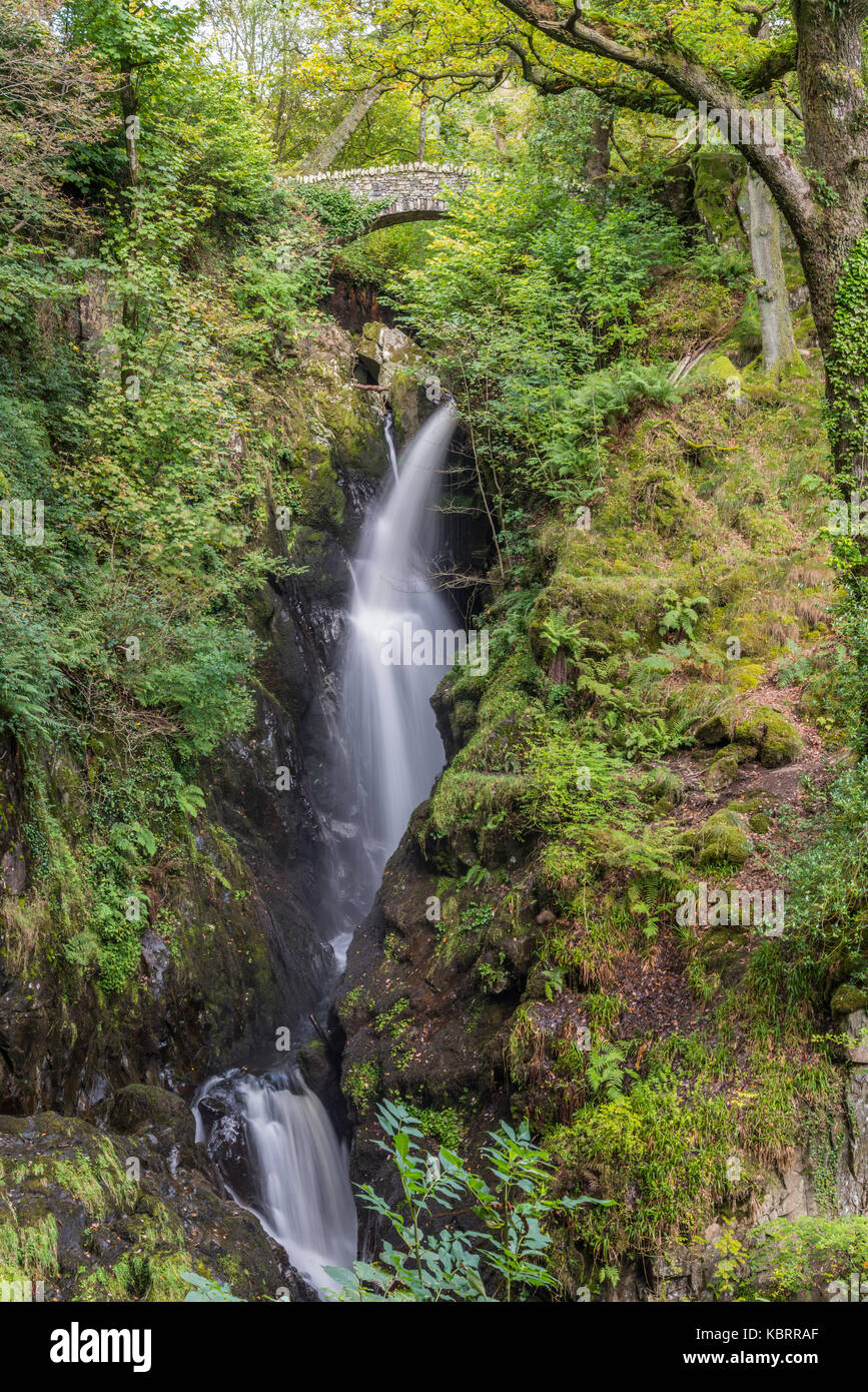The waters of the Cumbrian waterfall, Aira Force cascading from the ...