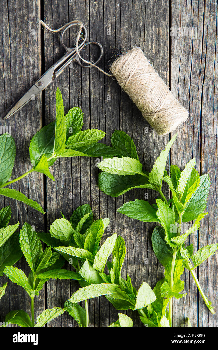 Branch mint leaves and thread with scissors. Top view Stock Photo - Alamy