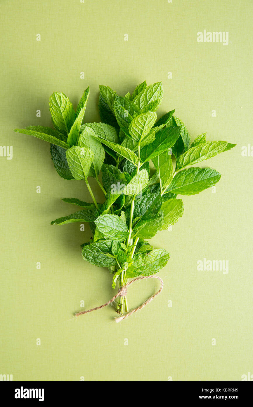 Branch mint leaves on green table. Top view Stock Photo - Alamy