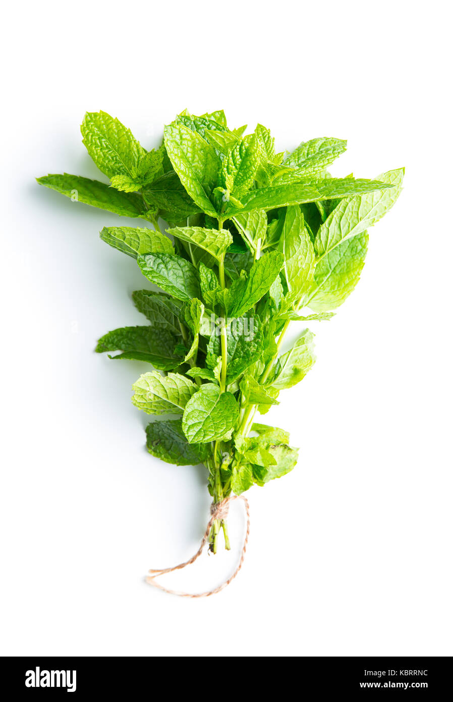 Branch mint leaves isolated on white background Stock Photo - Alamy