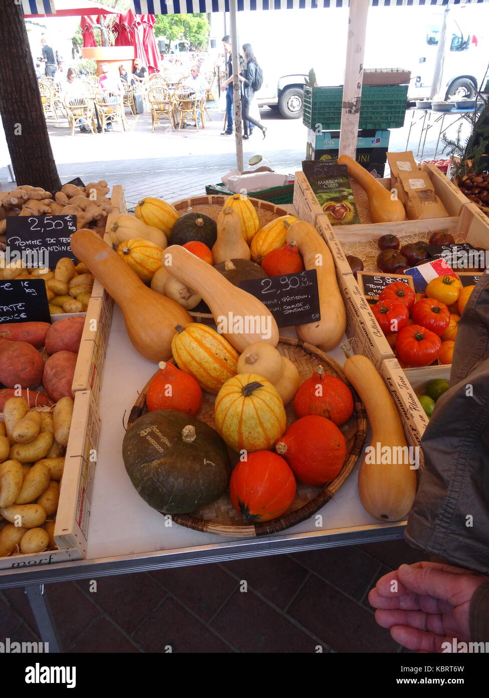 Nice tomato hi-res stock photography and images - Alamy