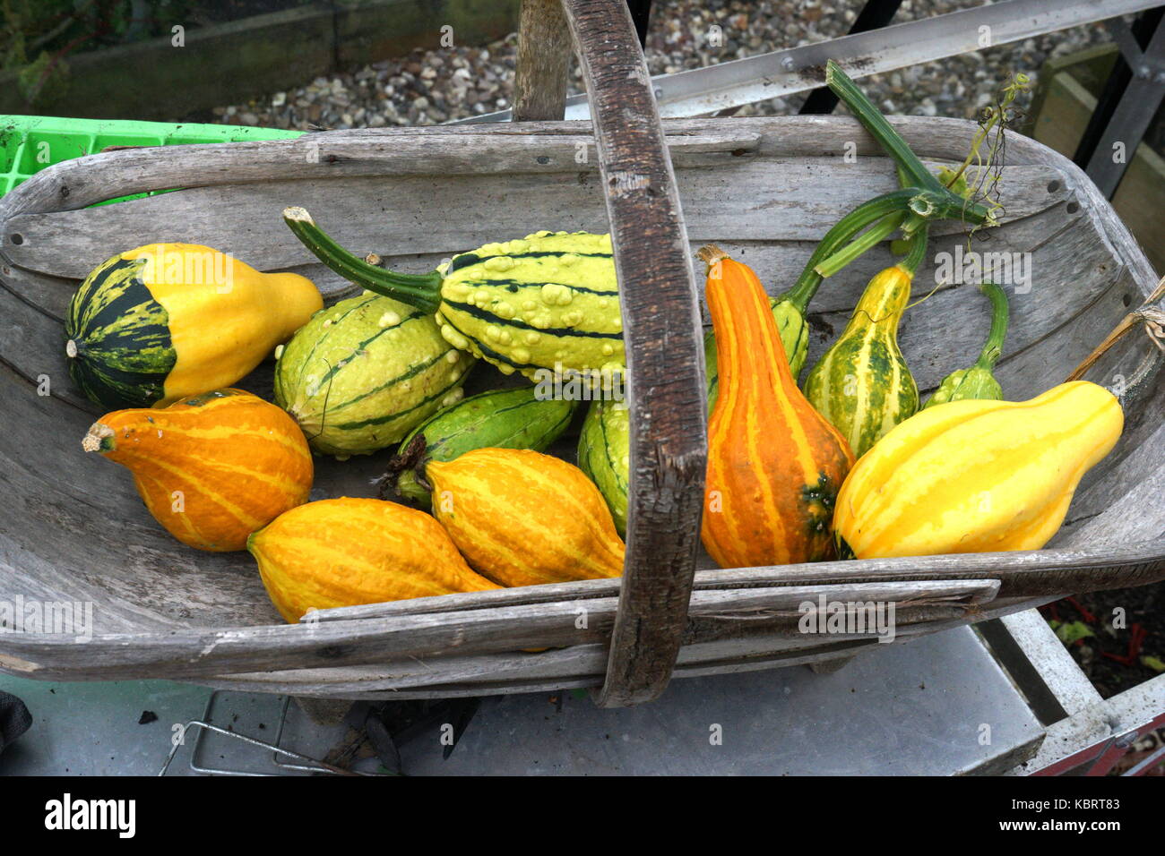 autumn garden produce Stock Photo - Alamy