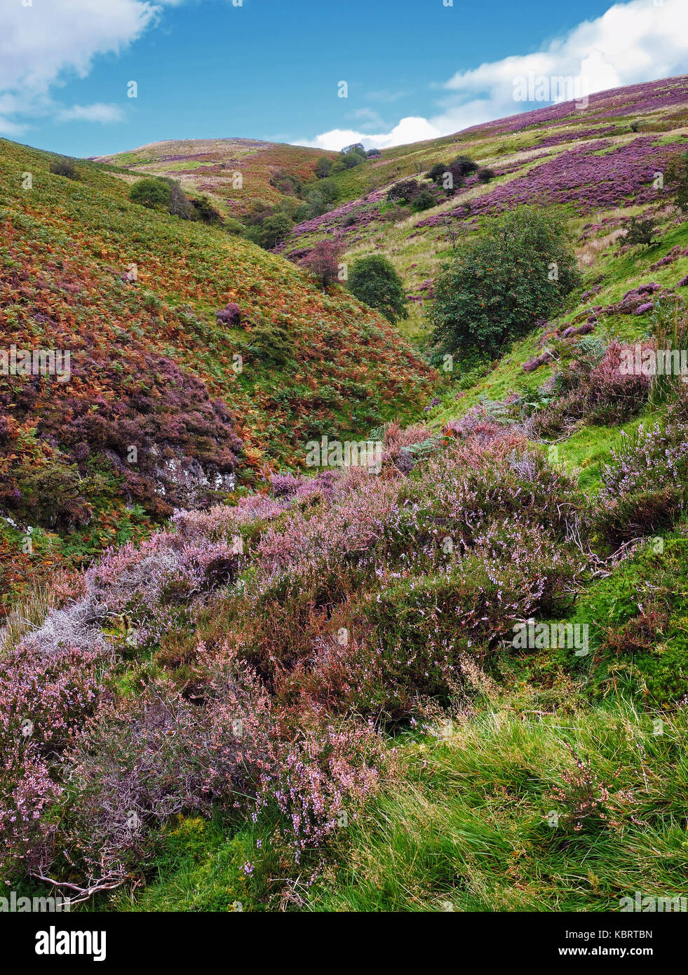 Colours of the Lowther Hills, in the Mennock Pass Stock Photo - Alamy