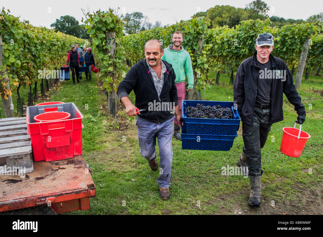 The last shift of the day, everyone is happy to be finished - Seasonal ...