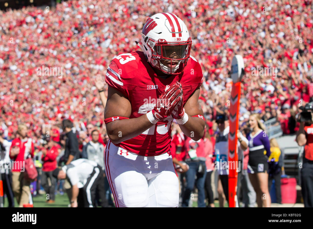 Jonathan taylor badgers hi-res stock photography and images - Alamy