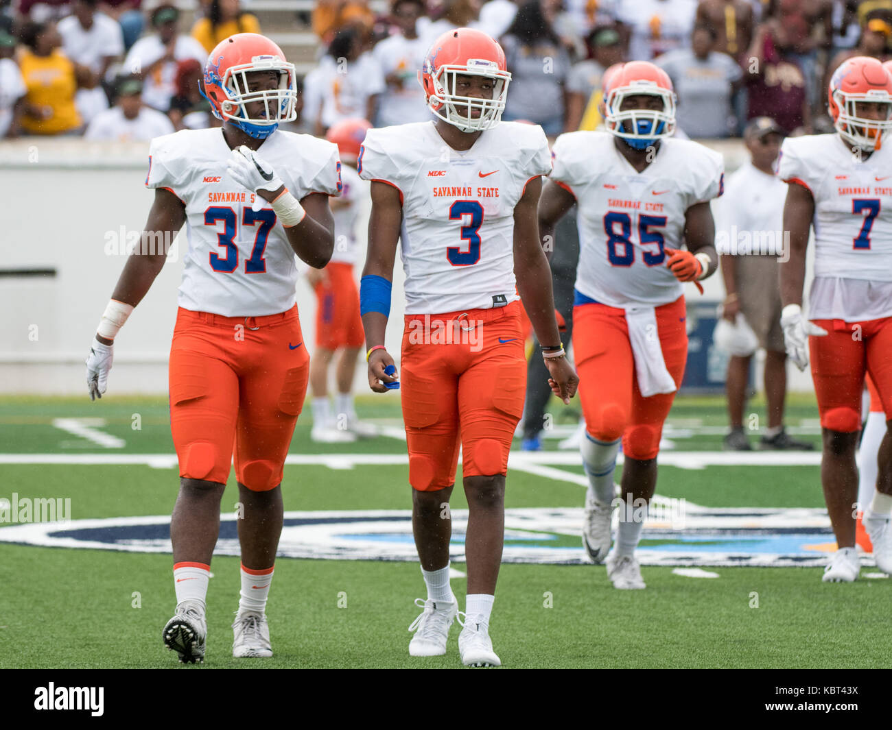 Gibbons beach hi-res stock photography and images - Alamy