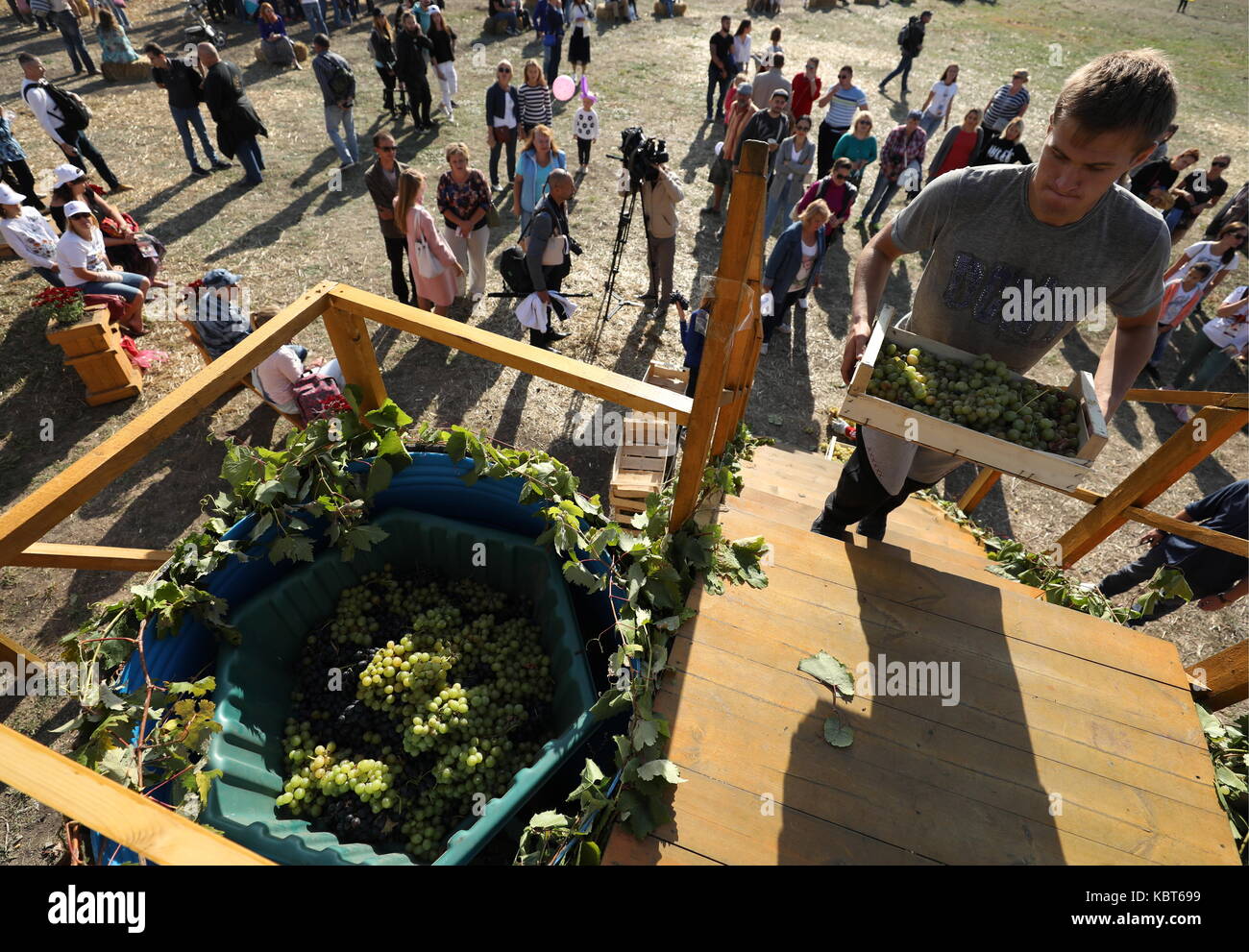 Stomping Of The Grapes High Resolution Stock Photography and Images - Alamy