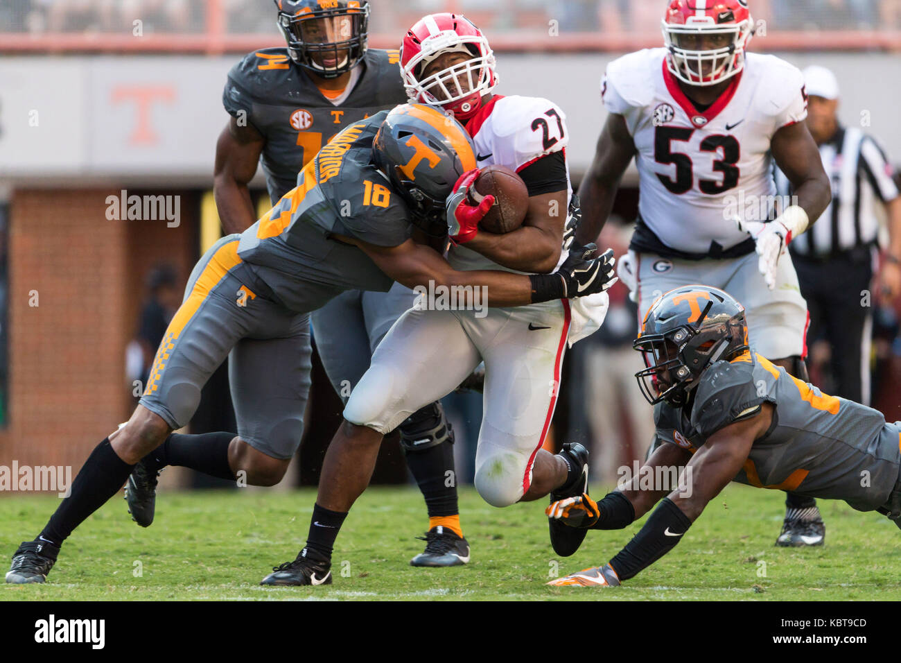 Nigel warrior hi-res stock photography and images - Alamy