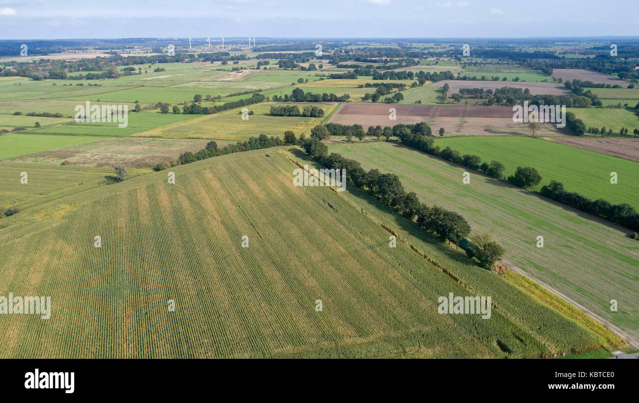Indian fields hi-res stock photography and images - Alamy