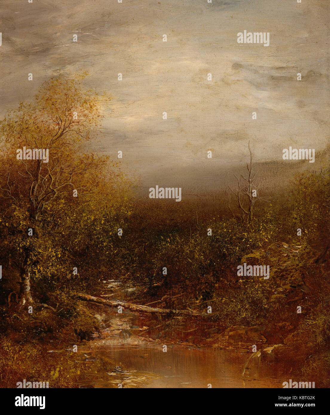 Blakelock, Ralph Albert Pool in the Adirondacks Stock Photo - Alamy