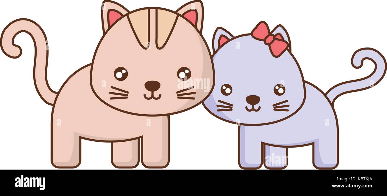 cute couple of cats icon over white background vector illustration ...