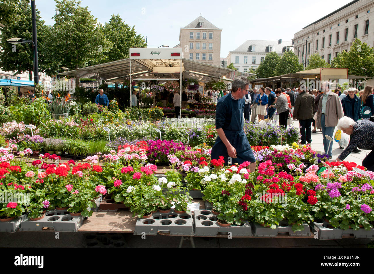 Kouter flower market in Ghent, Belgium, Europe Stock Photo - Alamy