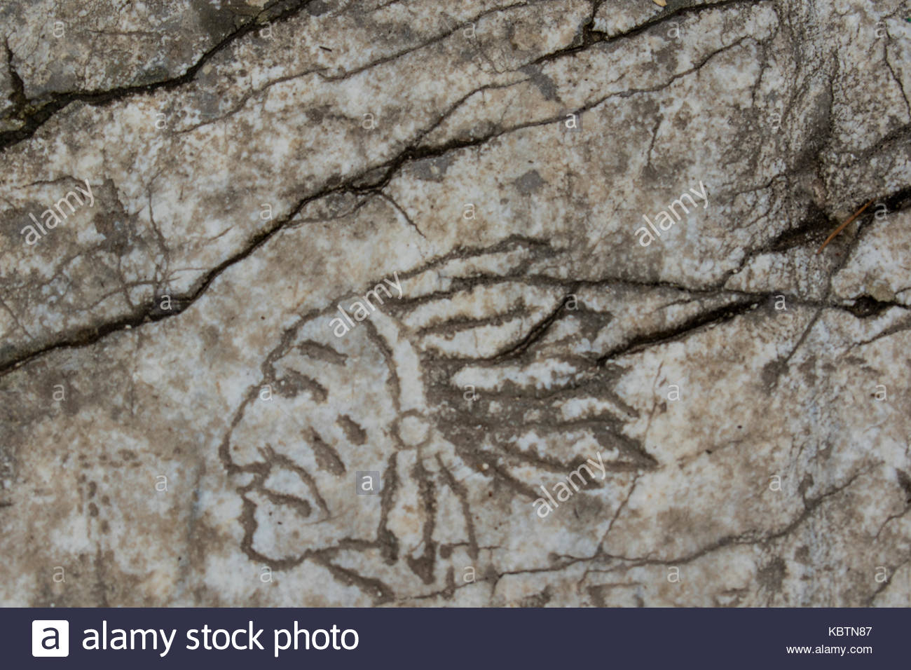 Indian Head Canyon High Resolution Stock Photography and Images - Alamy