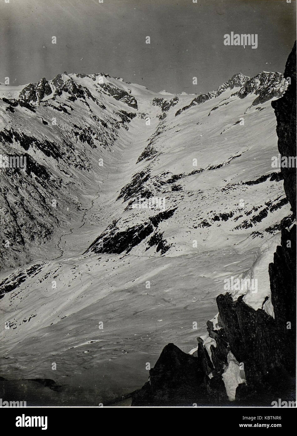 Broader segment hi-res stock photography and images - Alamy