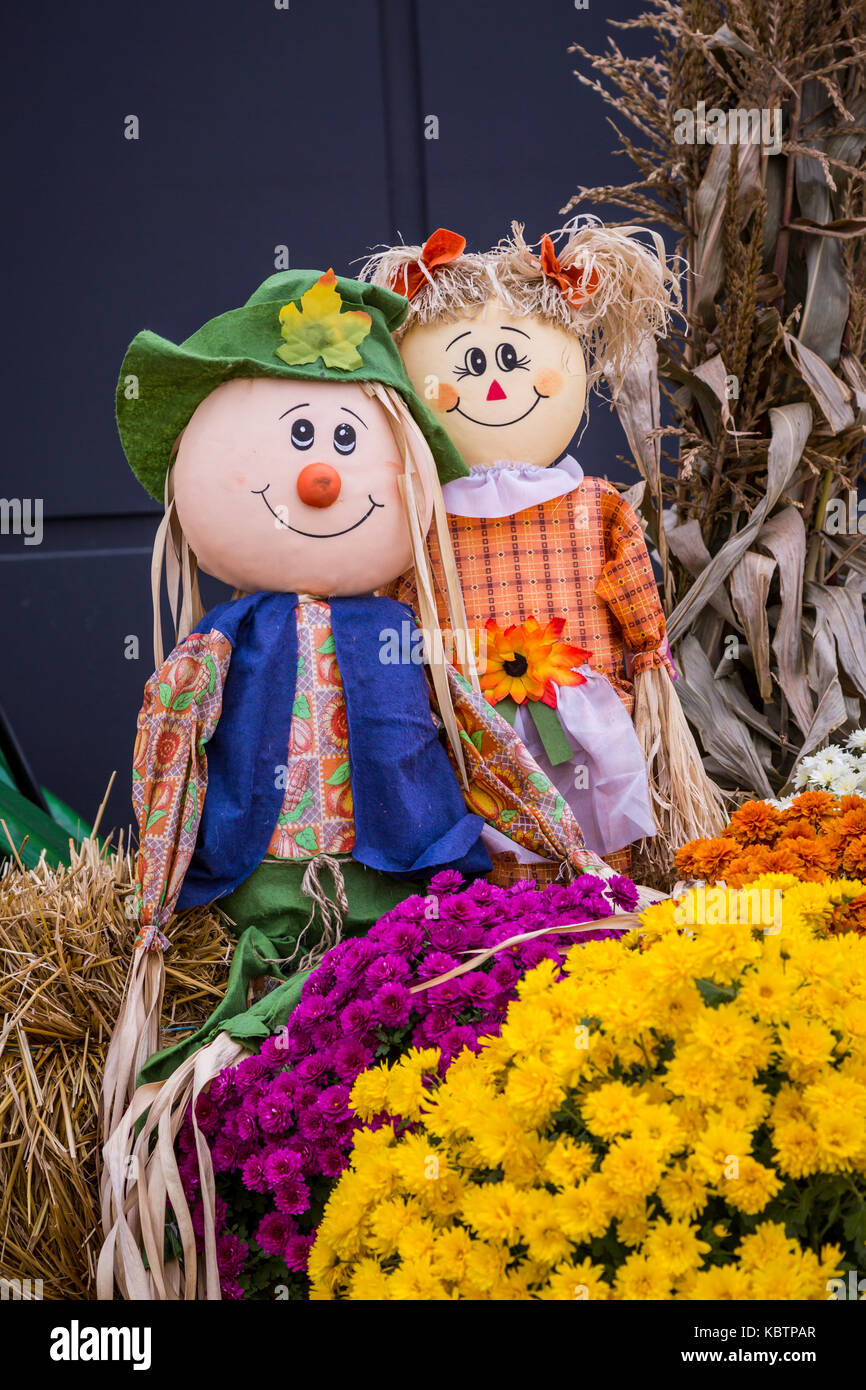 Fall harvest display local hi-res stock photography and images - Alamy