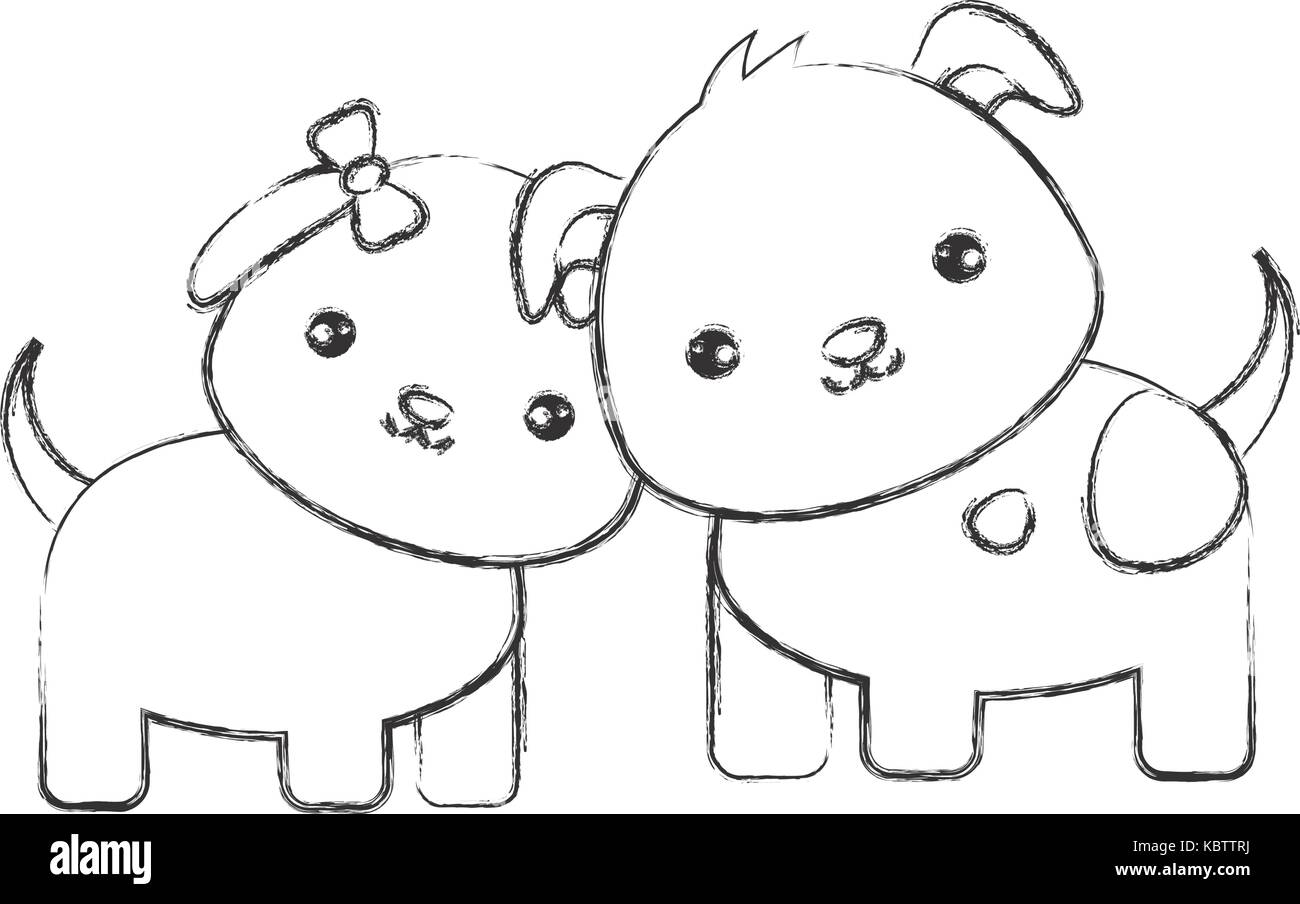 cute couple of dog icon over white background vector illustration Stock ...