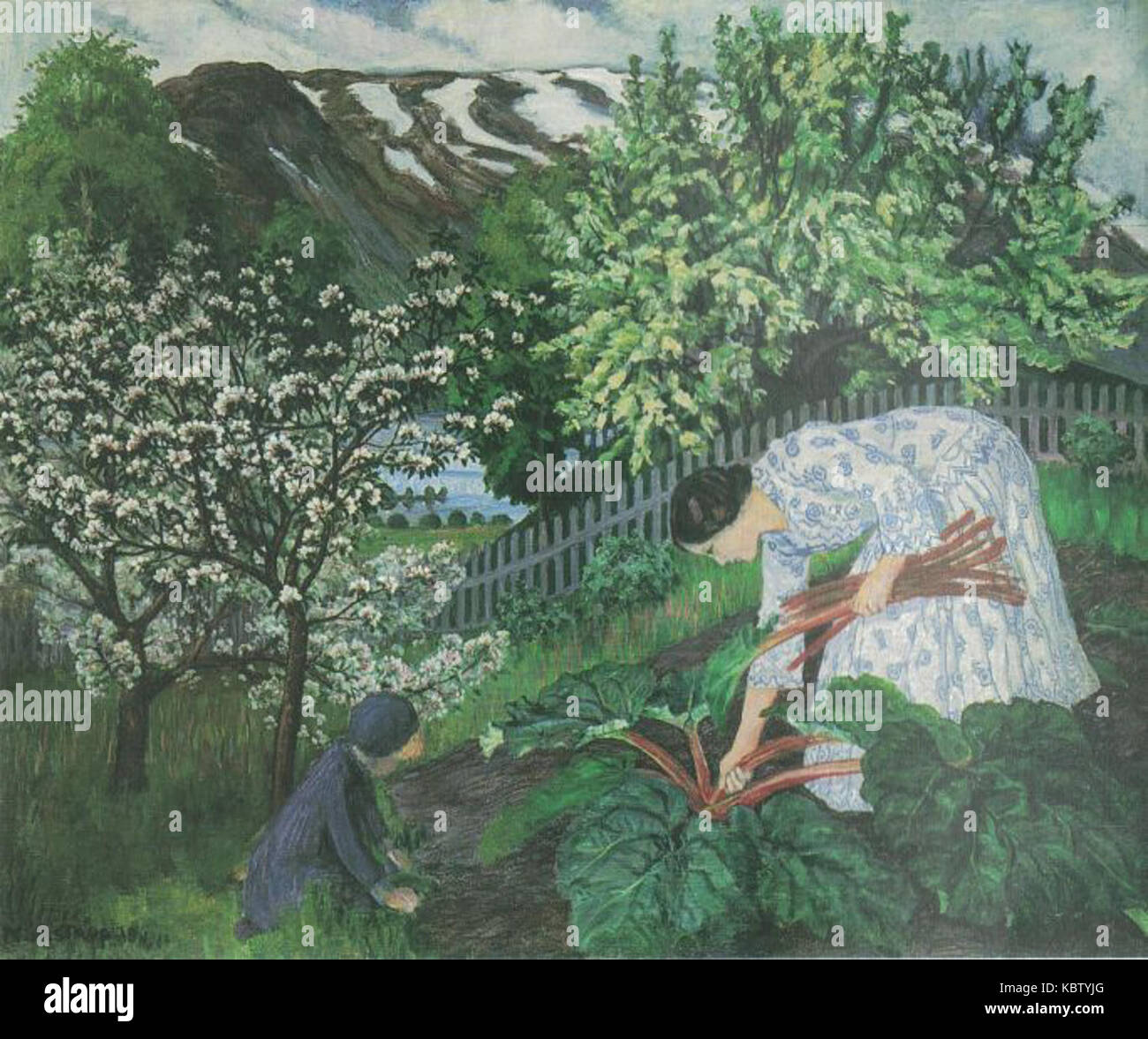 Rabarbra hi-res stock photography and images - Alamy