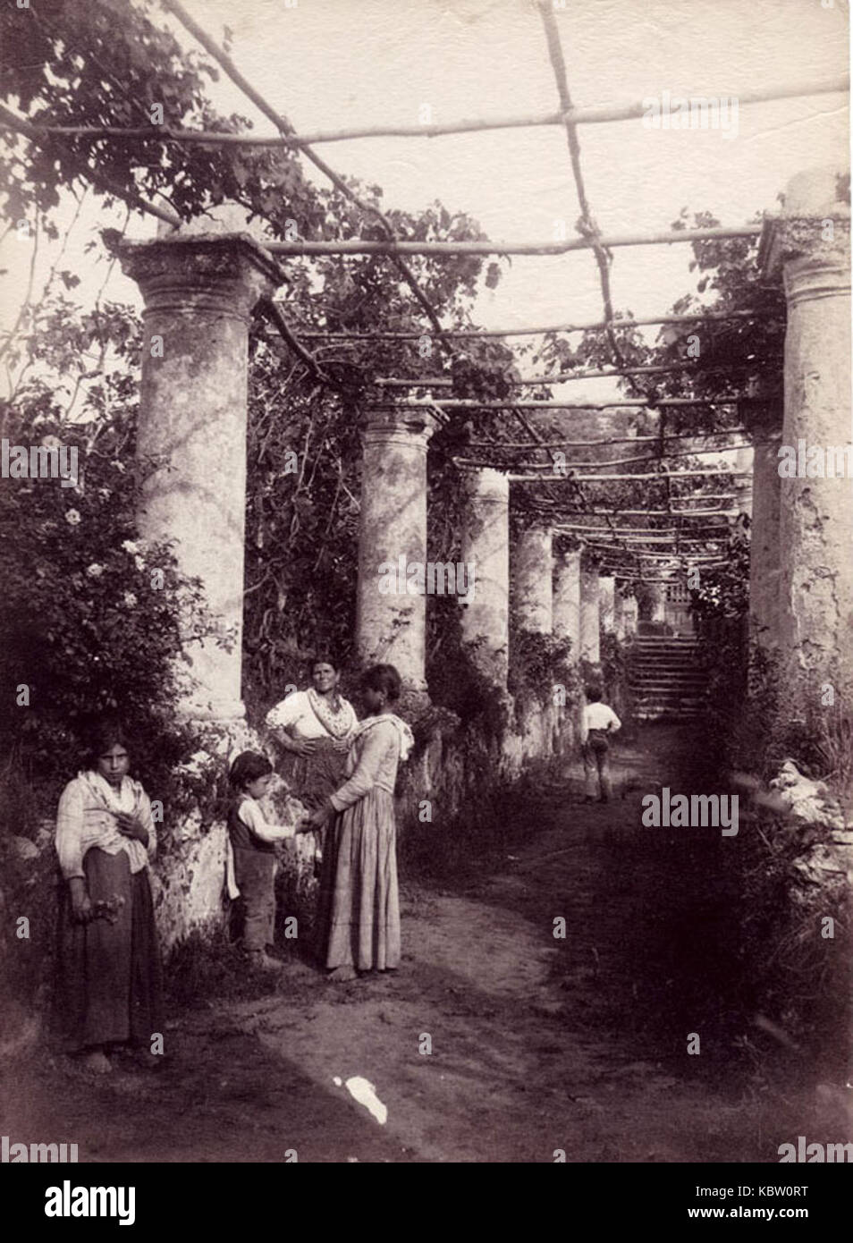 Pluschow, Wilhelm von (1852 1930) n. 0638 recto Capri Stock Photo - Alamy