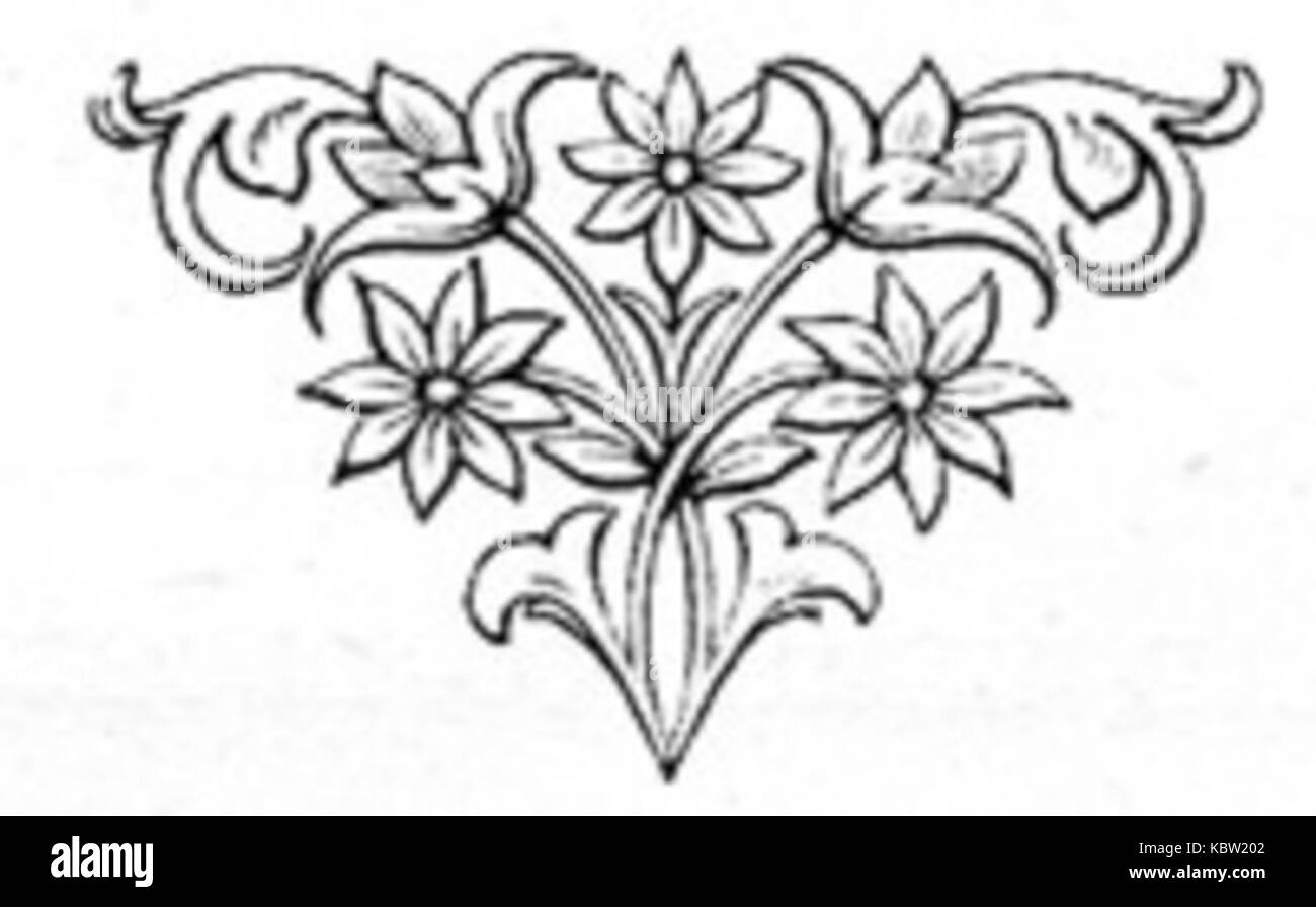 Minimalist floral artwork Black and White Stock Photos & Images - Alamy