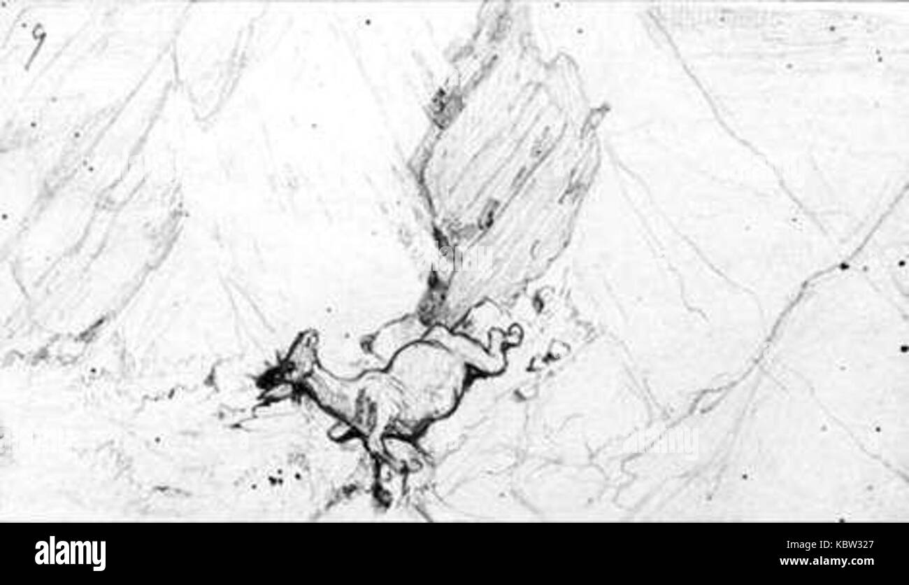 Draft donkey hi-res stock photography and images - Alamy