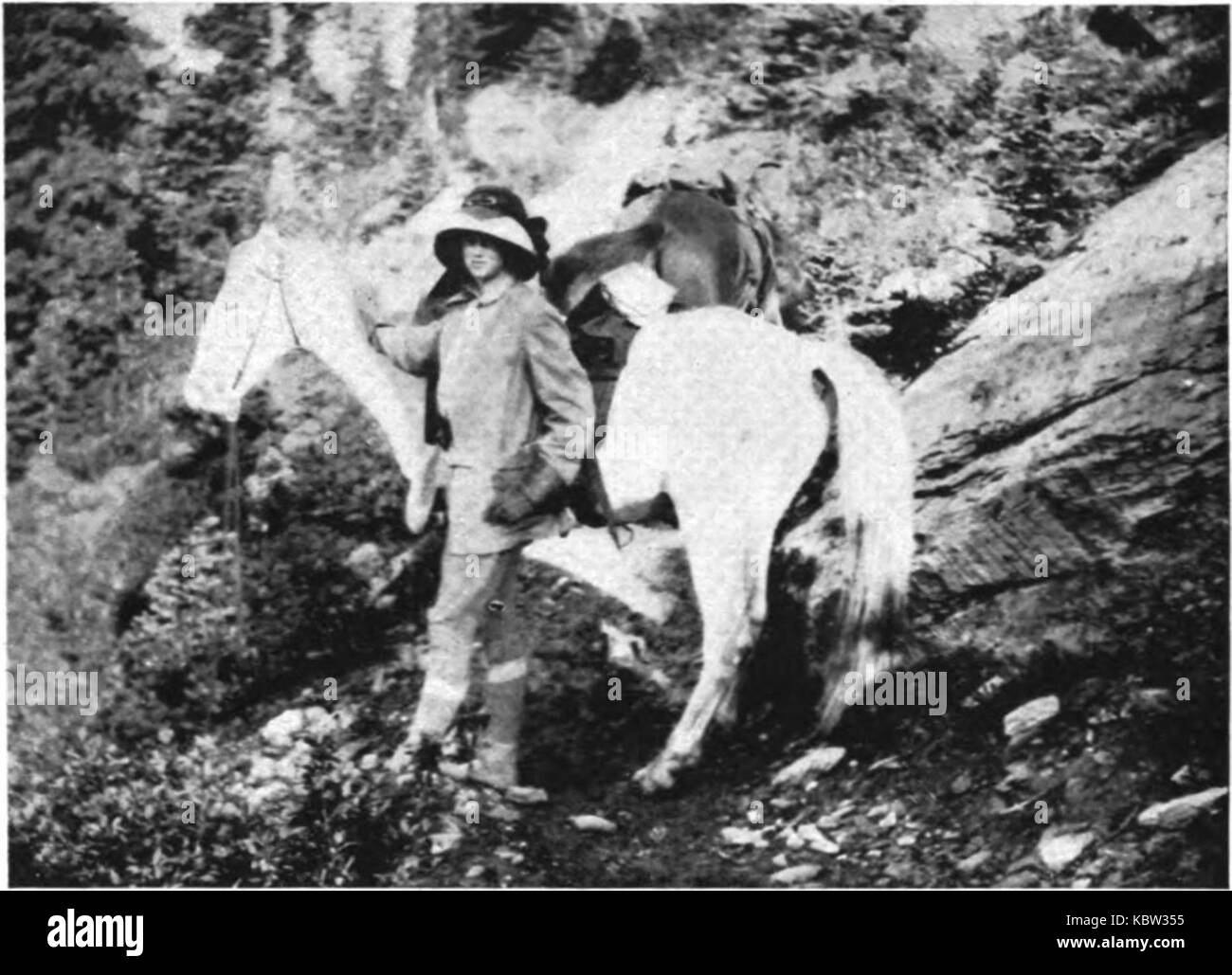 Waiting on the Burgess trail under Mount Wapta Stock Photo - Alamy