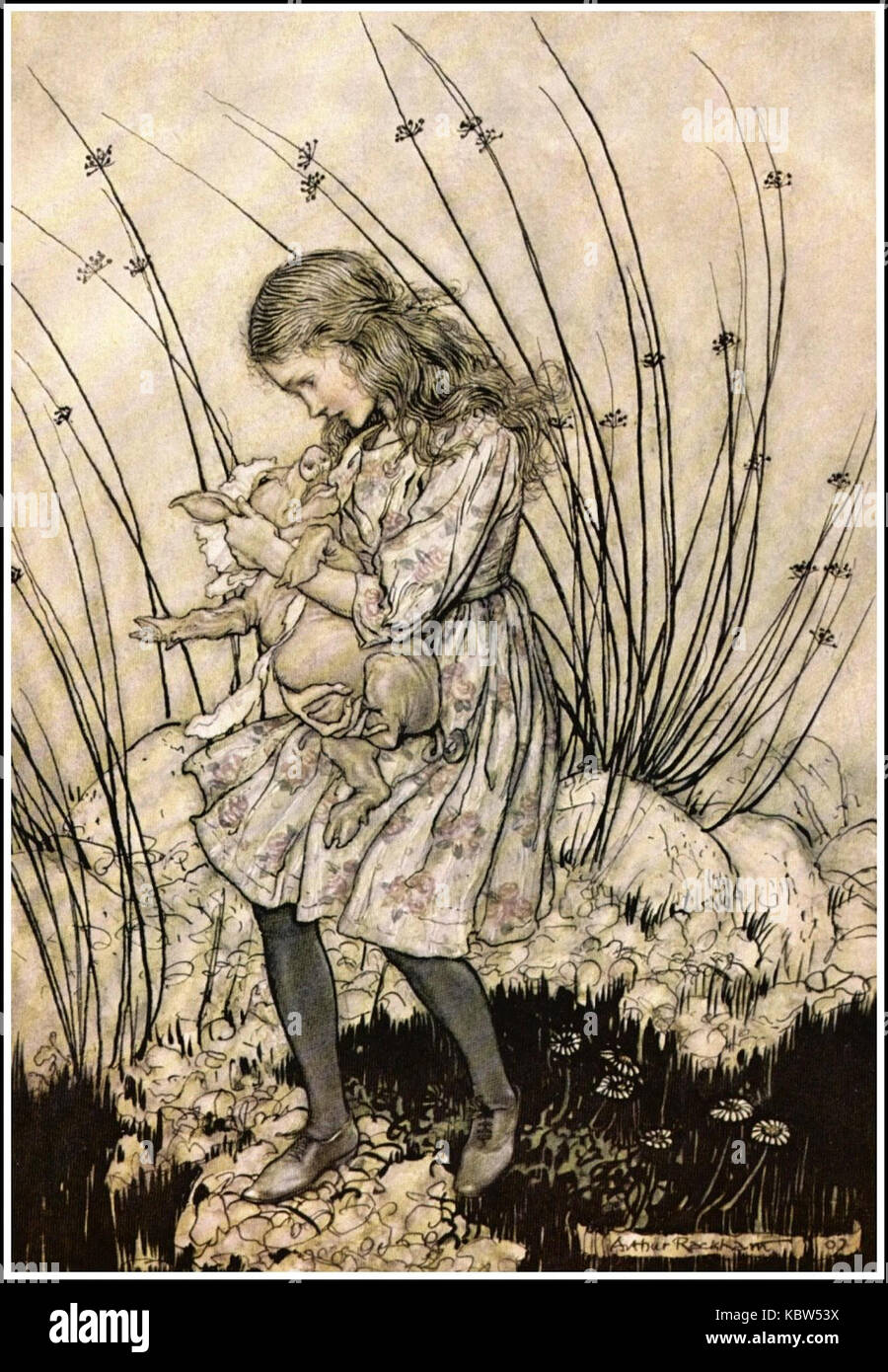 Alice in Wonderland by Arthur Rackham 07 It grunted again so violently ...